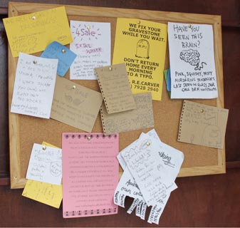 Chrysalis Community Noticeboard - Chrysalis Steiner School