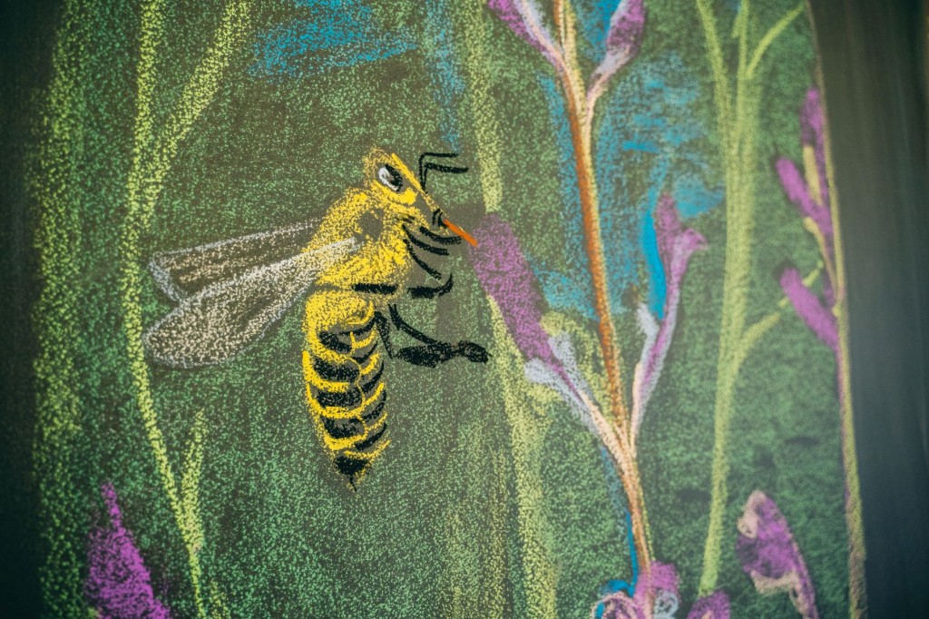 Welcoming native bees to our school! - Chrysalis Steiner School