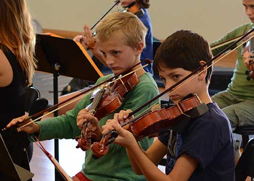 Fiddlers in the Forest - Chrysalis Steiner School